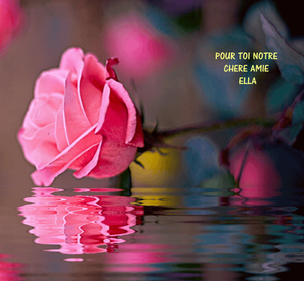 EN PAUSE QUELQUES TEMPS PERTE D'UNE AMINAUTE TRES CHERE A MON COEUR ...