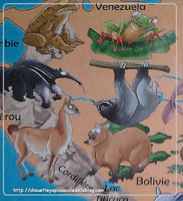 Les animaux du monde | chouette y a plus ecole