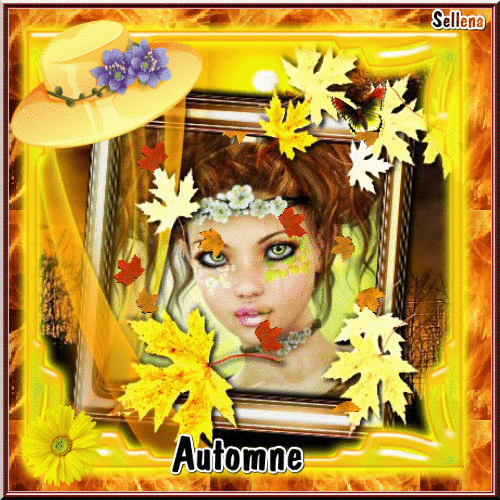 **Automne encore**Animations