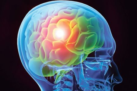 Les ondes cérébrales