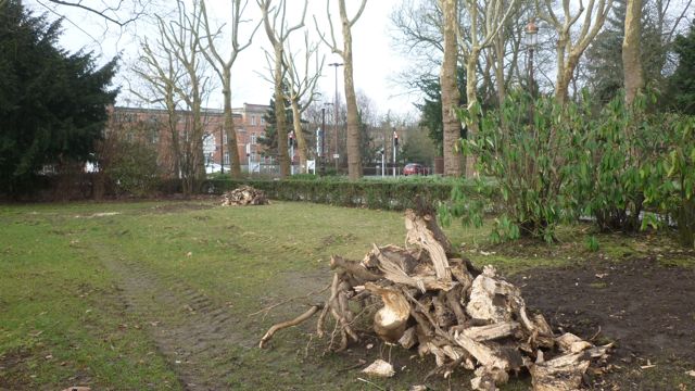 Nettoyage des racines au square porte Serpenoise - Blog de Philippe