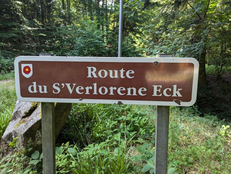 Le jardin de Merlin dans un coin perdu (s'Verlorene Eck) - Petites graines