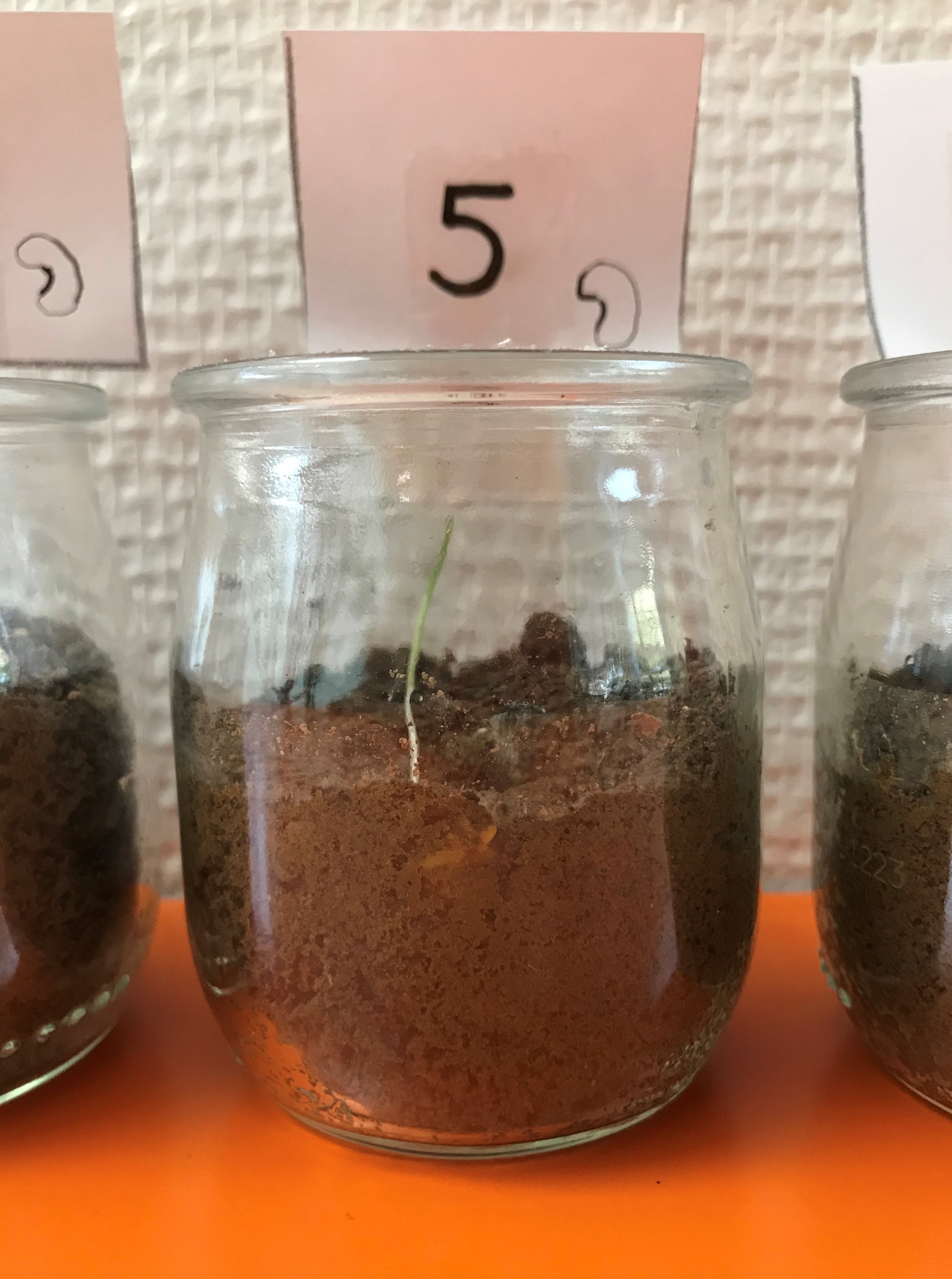 Voltz - Quel bazar ! - Jour 1 - Maternelle La Chaussonnière