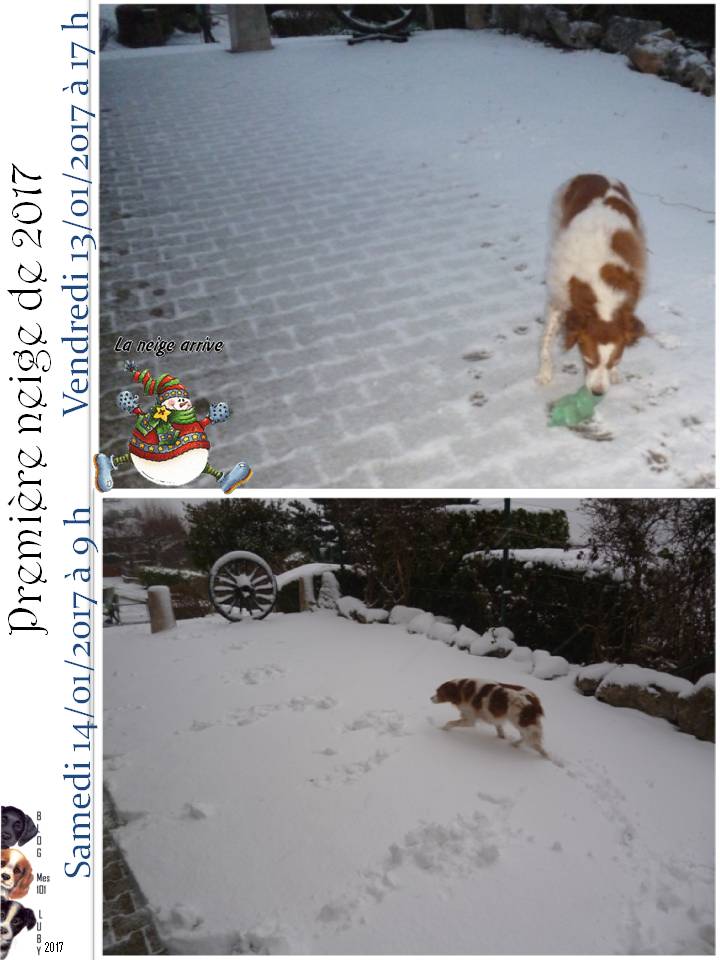 En alerte .... neige, verglas mais quelle merveille - Le Monde de Luby