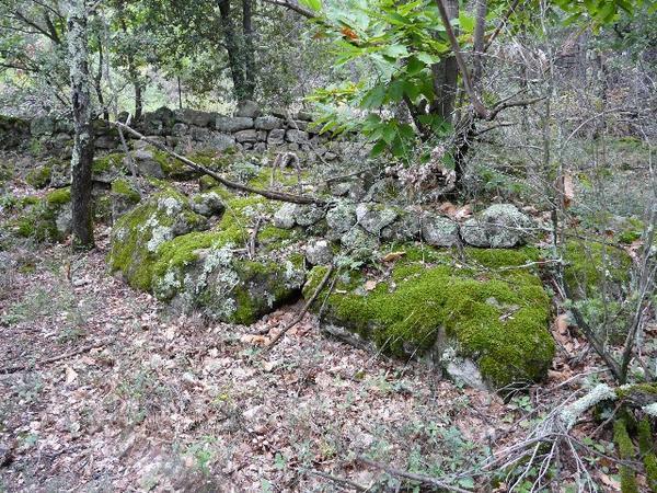 AU BOIS DE MON COEUR - MON BOUDOIR MULTIMEDIA